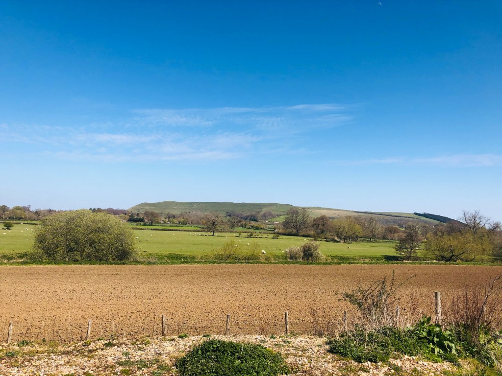 The North Dorset Trailway - Tess Of The Vale