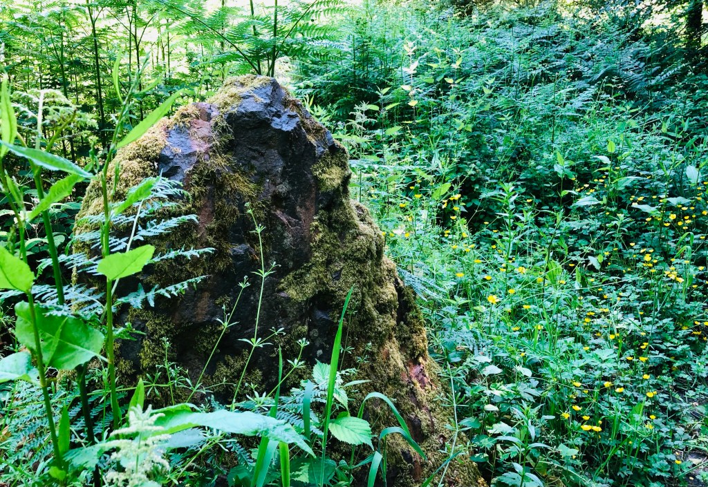 Rempstone Stone Circle - Tess Of The Vale