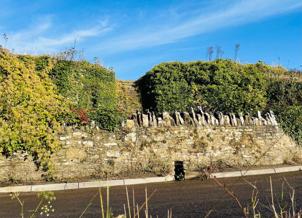 Stalbridge - Tess Of The Vale