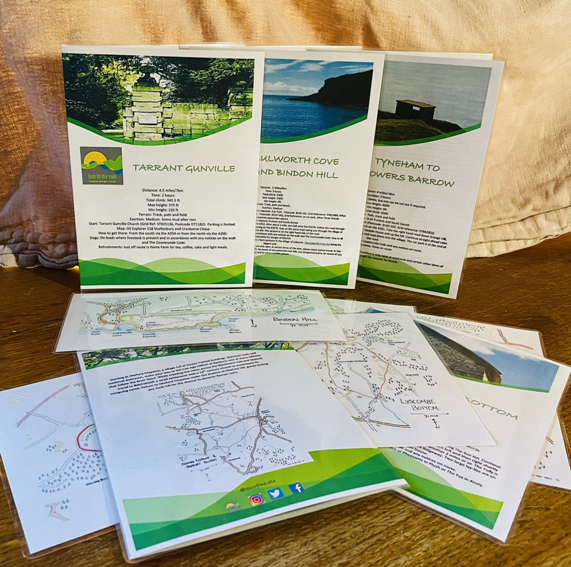 Adventure Map & Leaflet Bundle - Tess Of The Vale