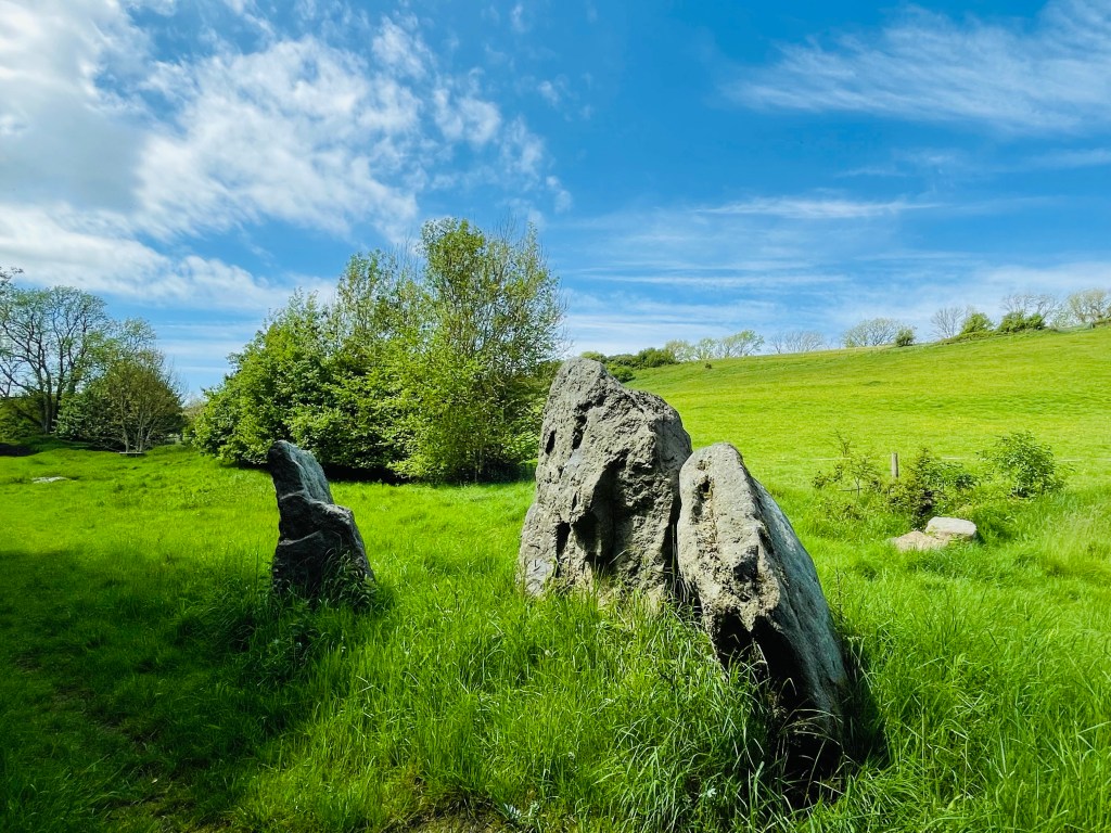 Corscombe - Tess Of The Vale