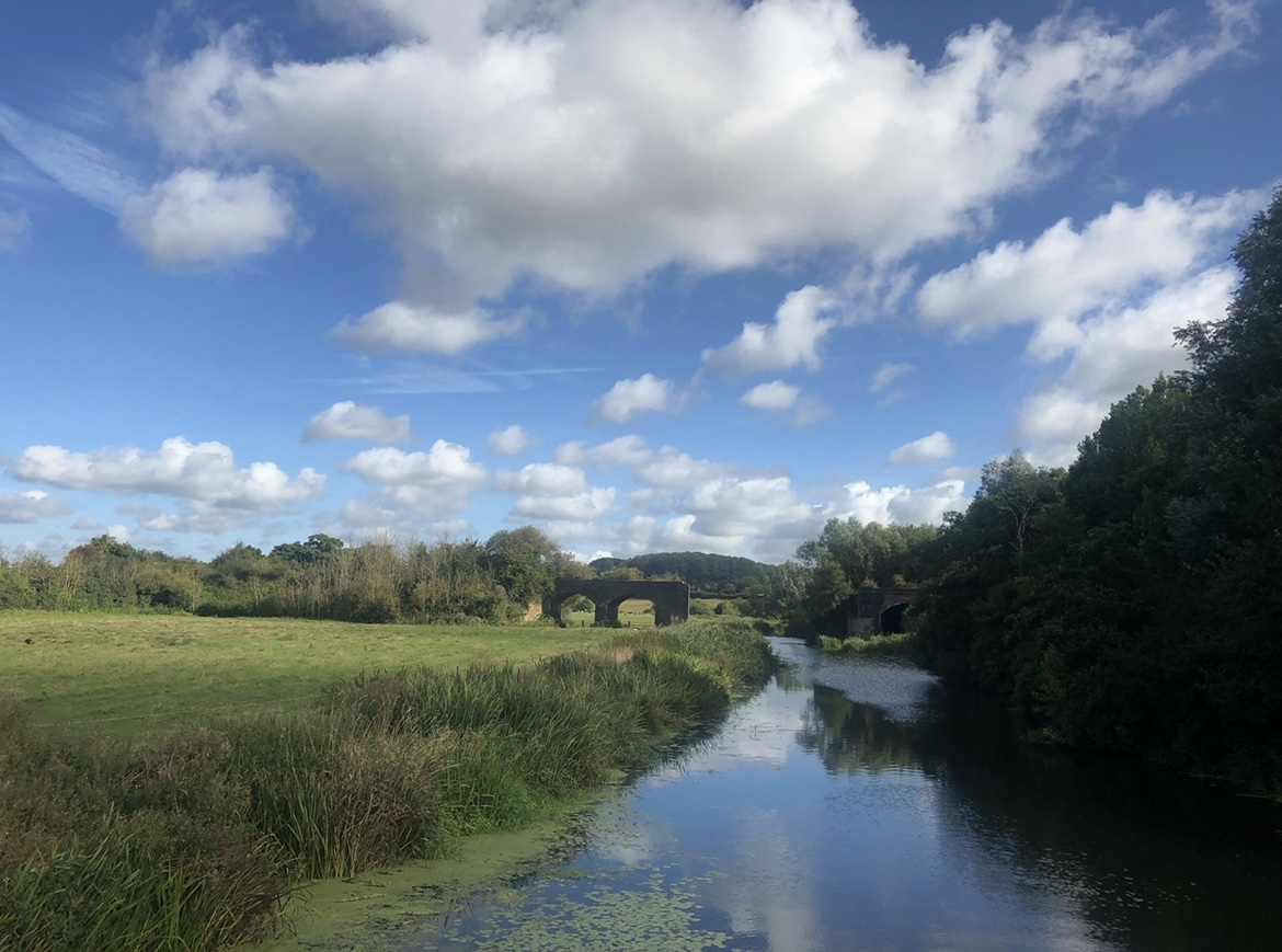 The Sturminster Newton Cheese Festival - Tess Of The Vale