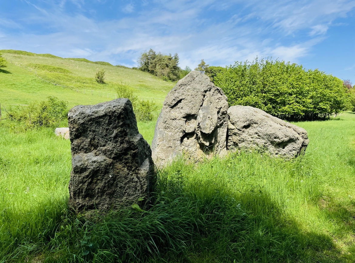 Dorset Stones - Tess Of The Vale