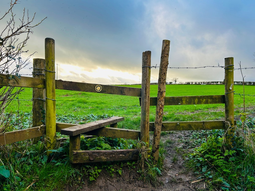The Stile Trail - Tess Of The Vale