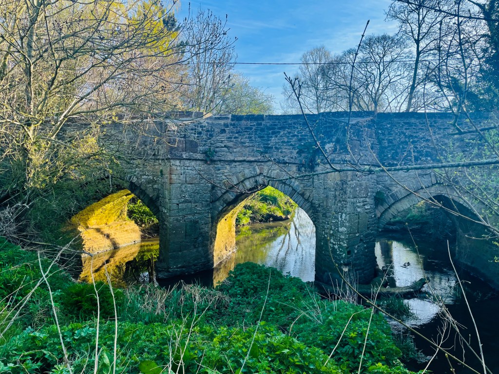 Dorset Bridges, Viaducts and Tunnels - Tess Of The Vale