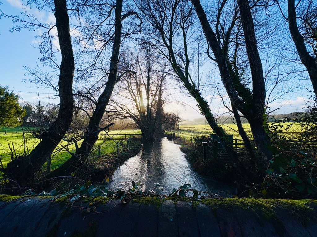 Horton Common - Tess Of The Vale